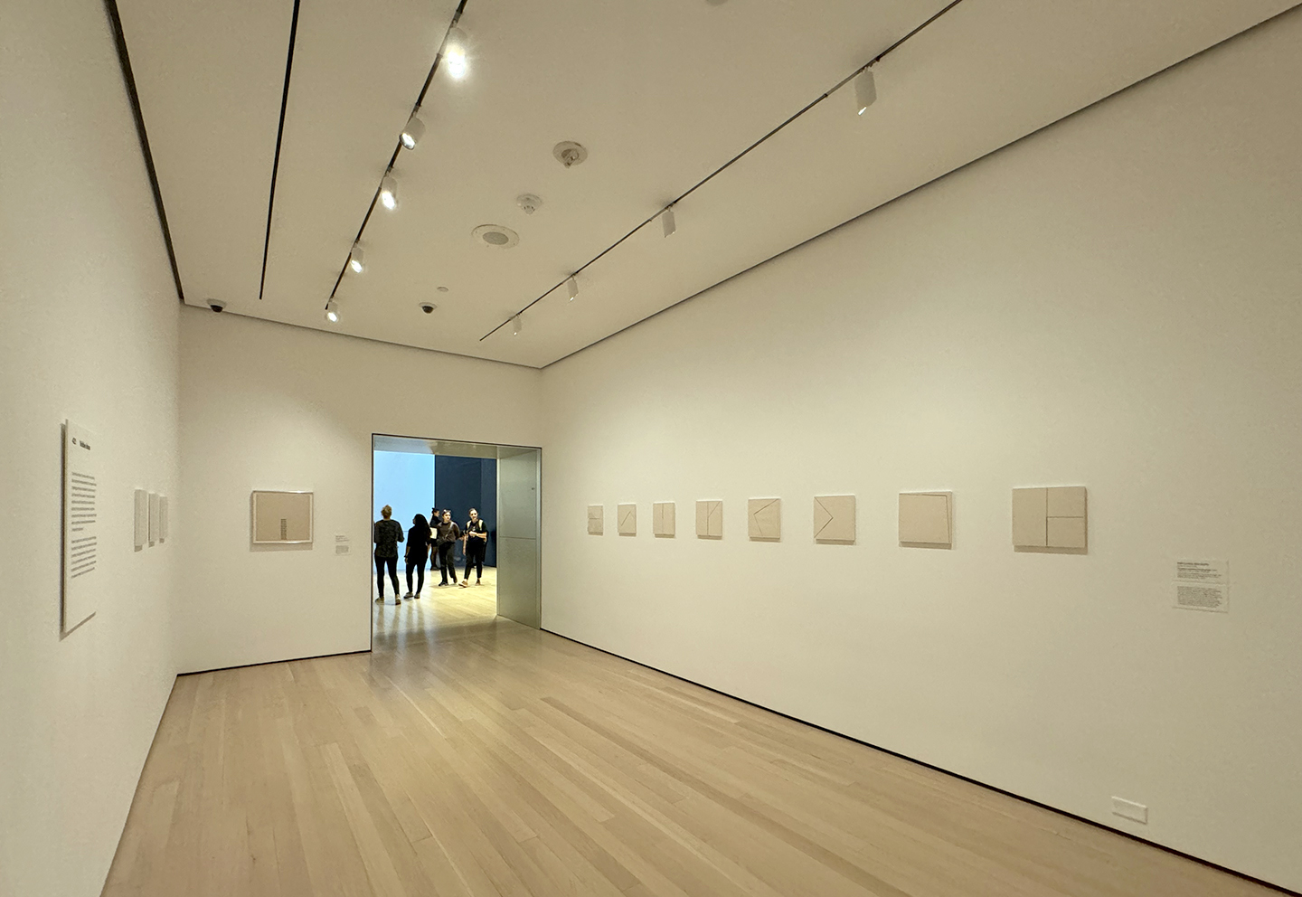 Visible Ideas: A Gift of Patricia Phelps de Cisneros. – Art Sôlido